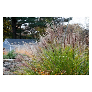 Charles River Garden - Contemporary - Pool - Boston - by Matthew ...