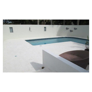 Coral Reef White Spanish Abalone - Tropical - Pool - Miami - by Coral ...