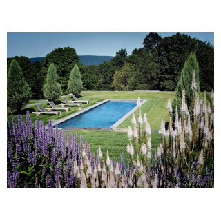 COUNTRY: simple rectangular swimming pool + grass surround ...