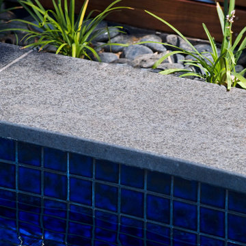 Curved Coping Stone - Photos & Ideas | Houzz