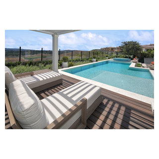 Custom Elevated Spa & Modern Pool - Modern - Pool - Orange County - by ...