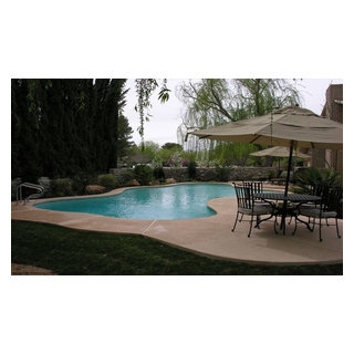 Custom Pools - Transitional - Pool - Austin - by Silver Springs Pool ...