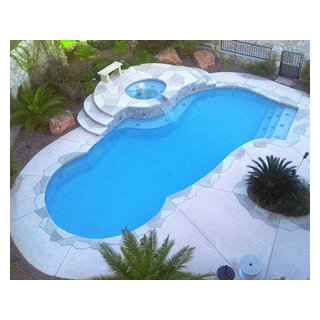 Custom Pools - Tropical - Pool - Austin - by Silver Springs Pool & Spa ...