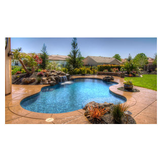 Custom Swimming Pool - Contemporary - Swimming Pool & Hot Tub - Austin ...