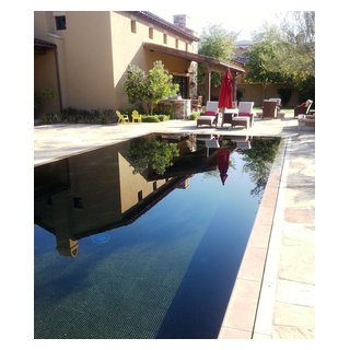 DC Ranch Arcadia--Pool - Classique - Piscine - Phoenix - par Merit ...