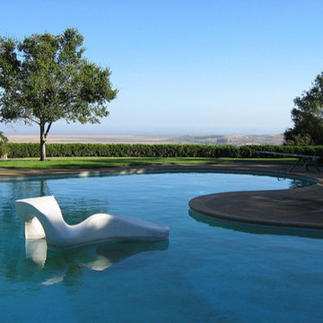 Donnell Garden - Photos & Ideas | Houzz