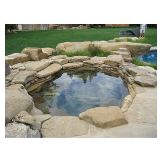 Diablo backyard - Rustic - Pool - San Francisco - by Martin Hoffmann ...