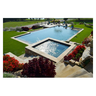 Douglas Lake Custom Pool - Contemporary - Pool - Other - by The Easy ...