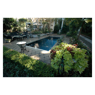Downtown Charleston Garden Pool - Classique - Piscine - Charleston ...
