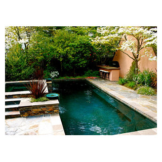 Dream Retreat - Traditional - Pool - Sacramento - by Change of Seasons ...