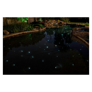 Fiber Optical Swimming Pool - Tropical - Pool - Houston - by Exterior ...