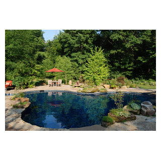 Foster - Traditional - Pool - Other - by Landscapes by Dallas Foster ...
