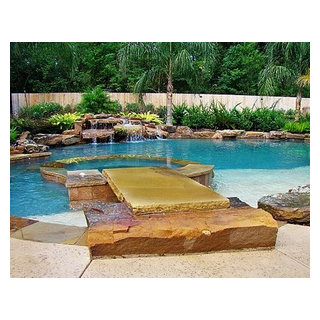 Free Form Pools - Modern - Pool - Houston - by Signature Pools of Texas ...