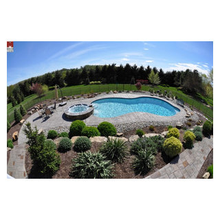 Freeform style in-ground salt water pool with raised spa - Contemporain ...