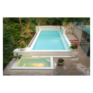 Gallery - Infinity Zero Edge Pools - Modern - Swimming Pool & Hot Tub ...