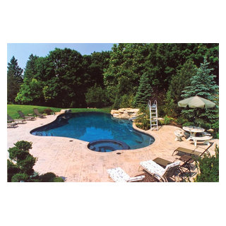 Gallery - Infinity Zero Edge Pools - Contemporary - Swimming Pool & Hot ...