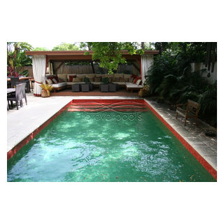 Green & red glass tile pool - Asian - Pool - Miami - by Foreverpools ...