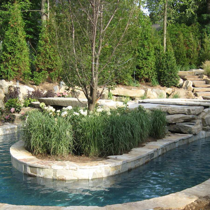Lazy River Pool - Photos & Ideas | Houzz
