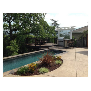 Greystone - Custom Pool & Spa - Rustic - Pool - San Francisco - by ...