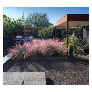 Heiny Residence - Midcentury - Landscape - Phoenix - by 180 degrees | Houzz