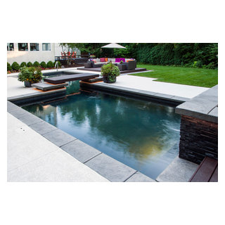 Highland Park, IL Complete Swimming Pool and Hot Tub Renovation ...