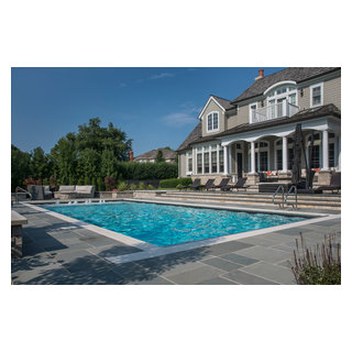 Highland Park,IL Swimming Pool, Separate Elevated Hot Tub, Sunshelf w ...