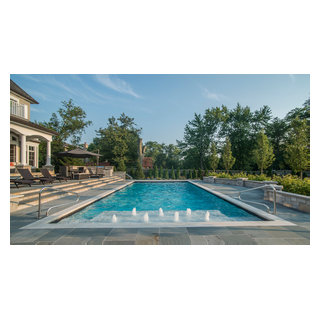 Highland Park,IL Swimming Pool, Separate Elevated Hot Tub, Sunshelf w ...