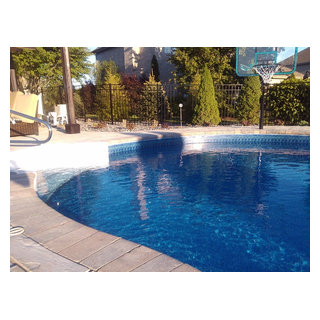 Homer Glen Pool - Transitional - Pool - Chicago - by ASE Ilini-Scapes ...