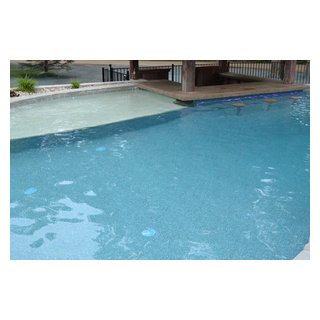 Hybrid Swimming Pool {HOF} - Traditional - Pool - Detroit - by ...