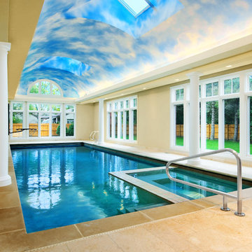 Indoor Swim Spa - Photos & Ideas | Houzz