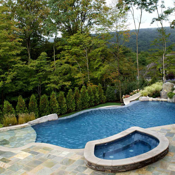 Pool Spa Design - Photos & Ideas | Houzz