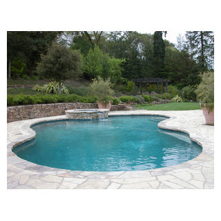 Irvine - Traditional - Pool - Other - by Design Focus International | Houzz