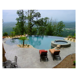 Jenn - Contemporary - Pool - Atlanta - by Artistic Pool Inc. | Houzz