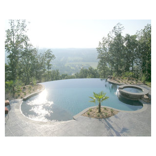 Jenn - Contemporary - Pool - Atlanta - by Artistic Pool Inc. | Houzz