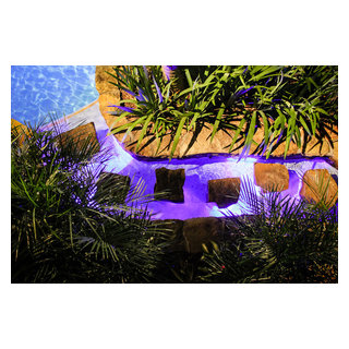 Lagoon/Freeform Tropical Pool With Rock Steps in Palm Beach County ...