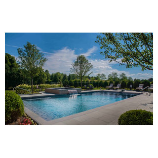 Lake Forest, IL Swimming Pool With Full Steps and Raised Spa With Sheer ...