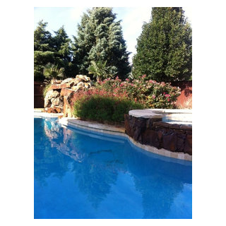 Landscaped Grotto Waterfall Pool - Traditional - Pool - Dallas - by ...