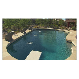 Lawn to Desert Botanical Garden - Traditional - Pool - Phoenix - by ...