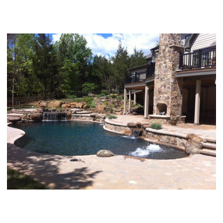 Leesburg Naturalistic Pool - Eclectic - Swimming Pool & Hot Tub - DC ...