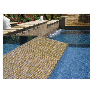 Luke - Traditional - Pool - Houston - by Omega Pools, LLC 281-330-6771 ...