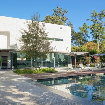 75 Modern Natural Pool Ideas You'll Love - August, 2024 | Houzz