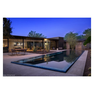 Mid-Century Modern Reflection Pool - Modern - Pool - Phoenix - by ...