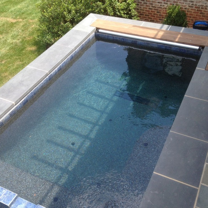 Midnight Blue Pebble Tec Pool | Houzz