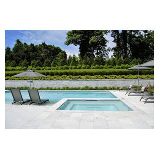 Modern & Bright Swimming Pool + Spa NY Design - Modern - Pool - New ...
