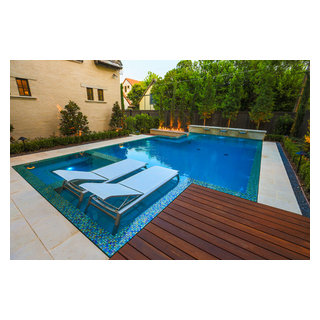 Modern Landscape and Zero Edge Pool - Contemporary - Pool - Dallas - by ...