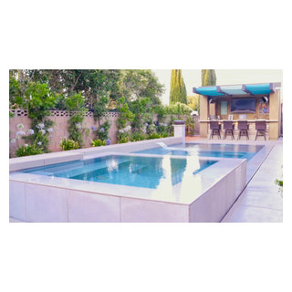 Modern Zero Edge Swimming Pool - Contemporary - Pool - Los Angeles - by ...