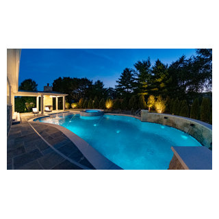 Naperville, IL freeform swimming pool with hot tub, large sunshelf ...