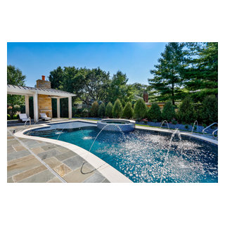 Naperville, IL freeform swimming pool with hot tub, large sunshelf ...