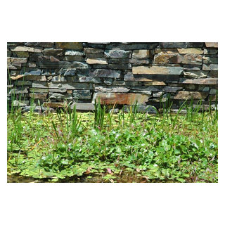 Natural Billabong - Rustic - Landscape - Sydney - by Eco Outdoor AUS ...