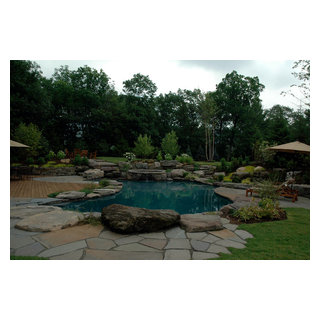 Natural lagoon pool - Traditional - Pool - New York - by Jardin Passion ...